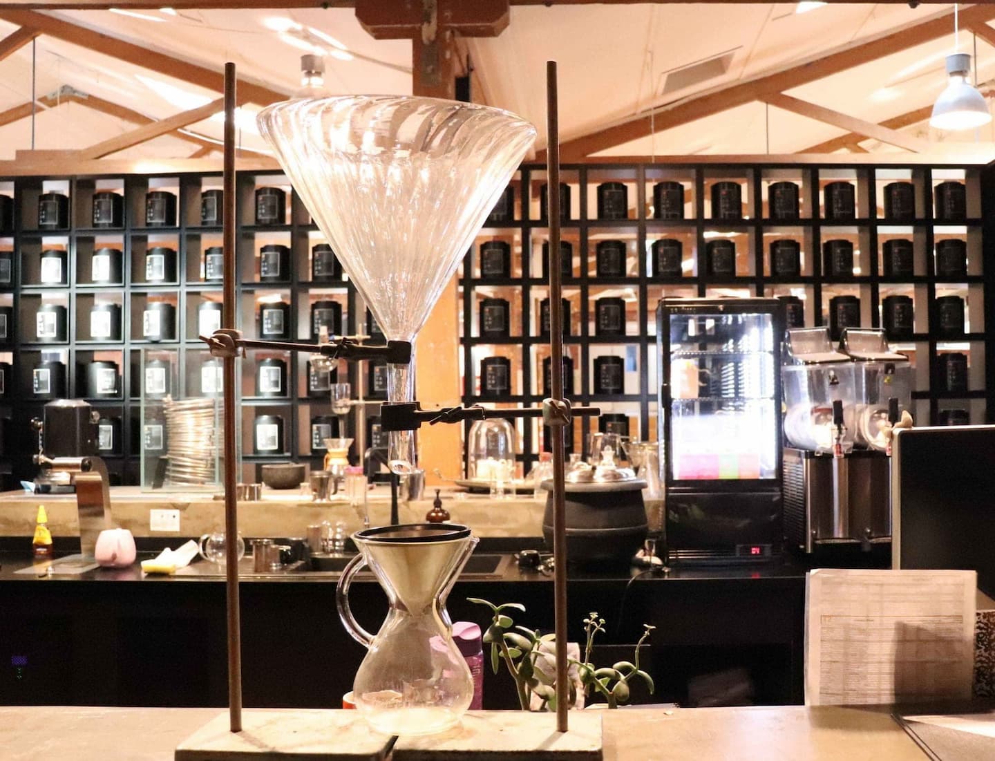 Sipping T2 with Georgegina Poulos - RMIT University