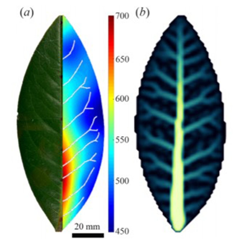 Publications - RMIT University