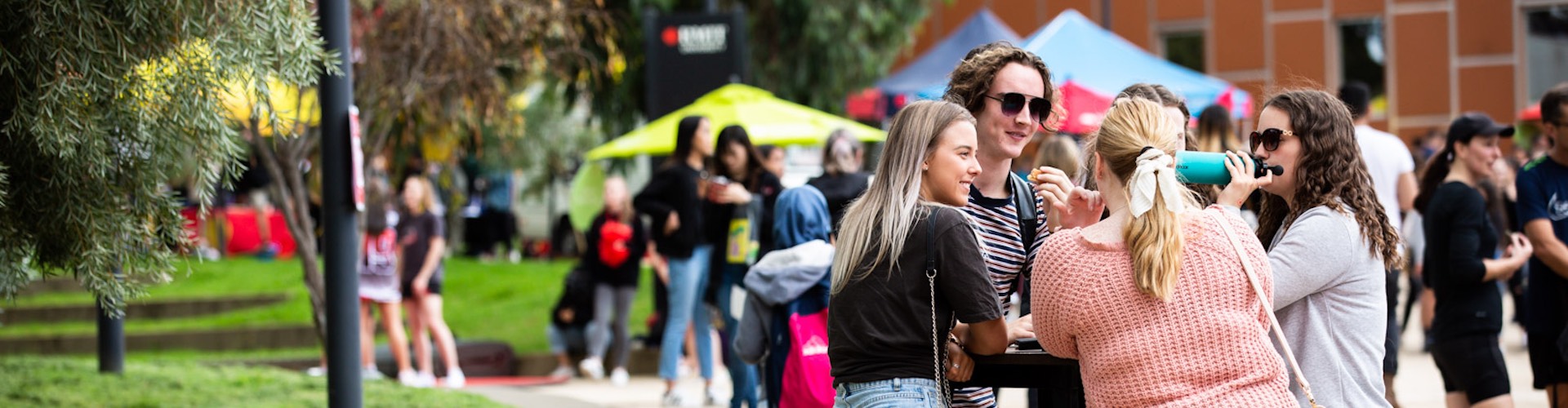 Program inductions - RMIT University