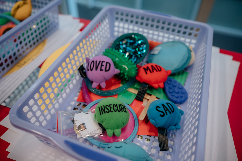 Vietnam Child Wellbeing and Safeguarding Summit 2025: A resounding ...